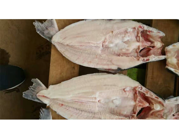 Electric fish belly splitting cutting machine，fish butterfly cutting ...
